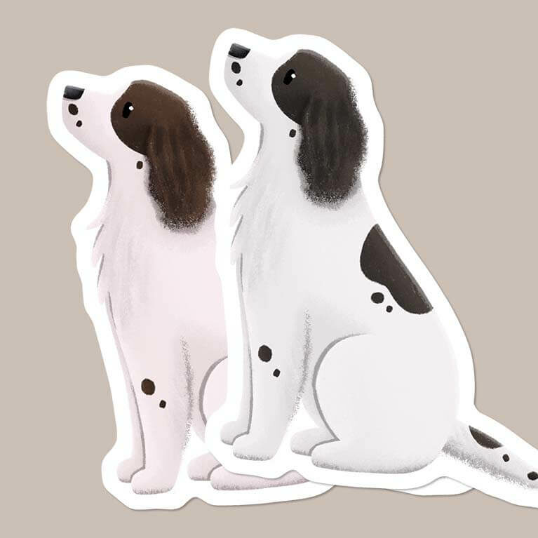 Springer Spaniel sticker - Woof by Hollie