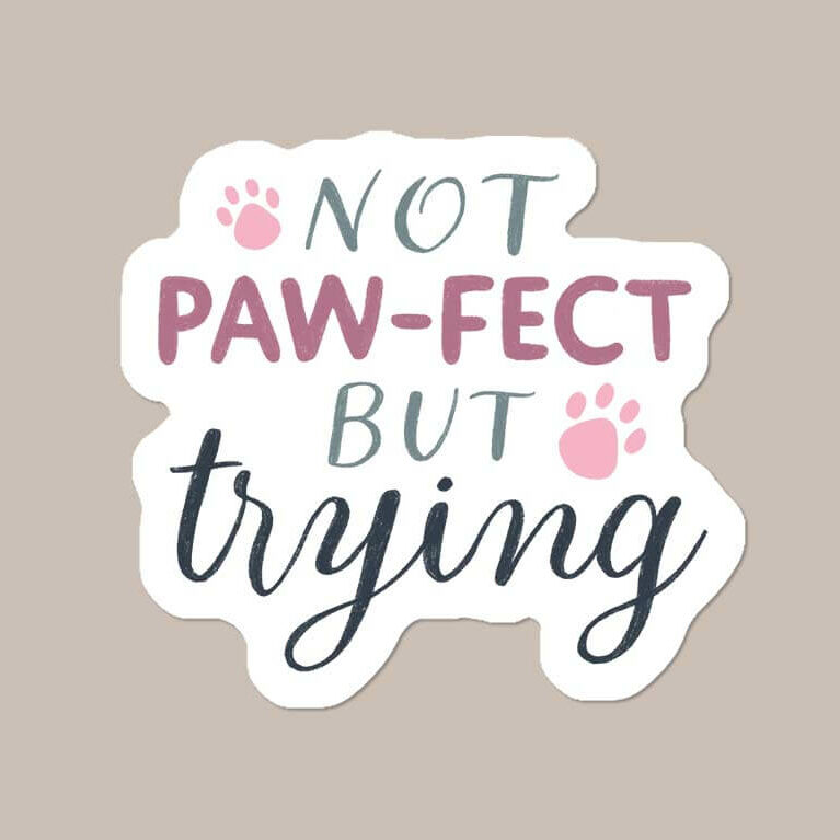 "Not paw-fect but trying" sticker • Woof by Hollie
