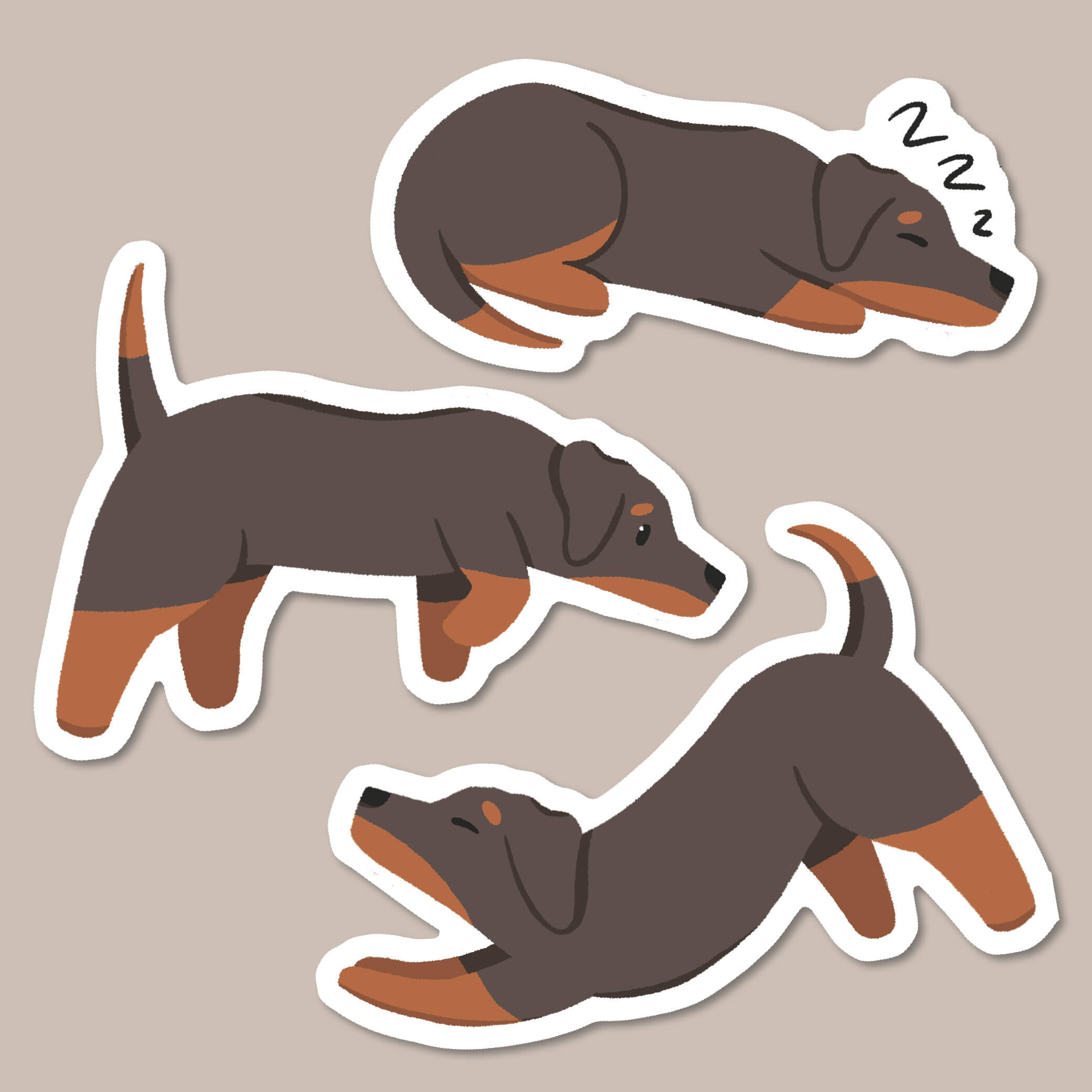 Dachshund Dog Vinyl Sticker Pack of 3 (Smooth Coated) - Multiple ...