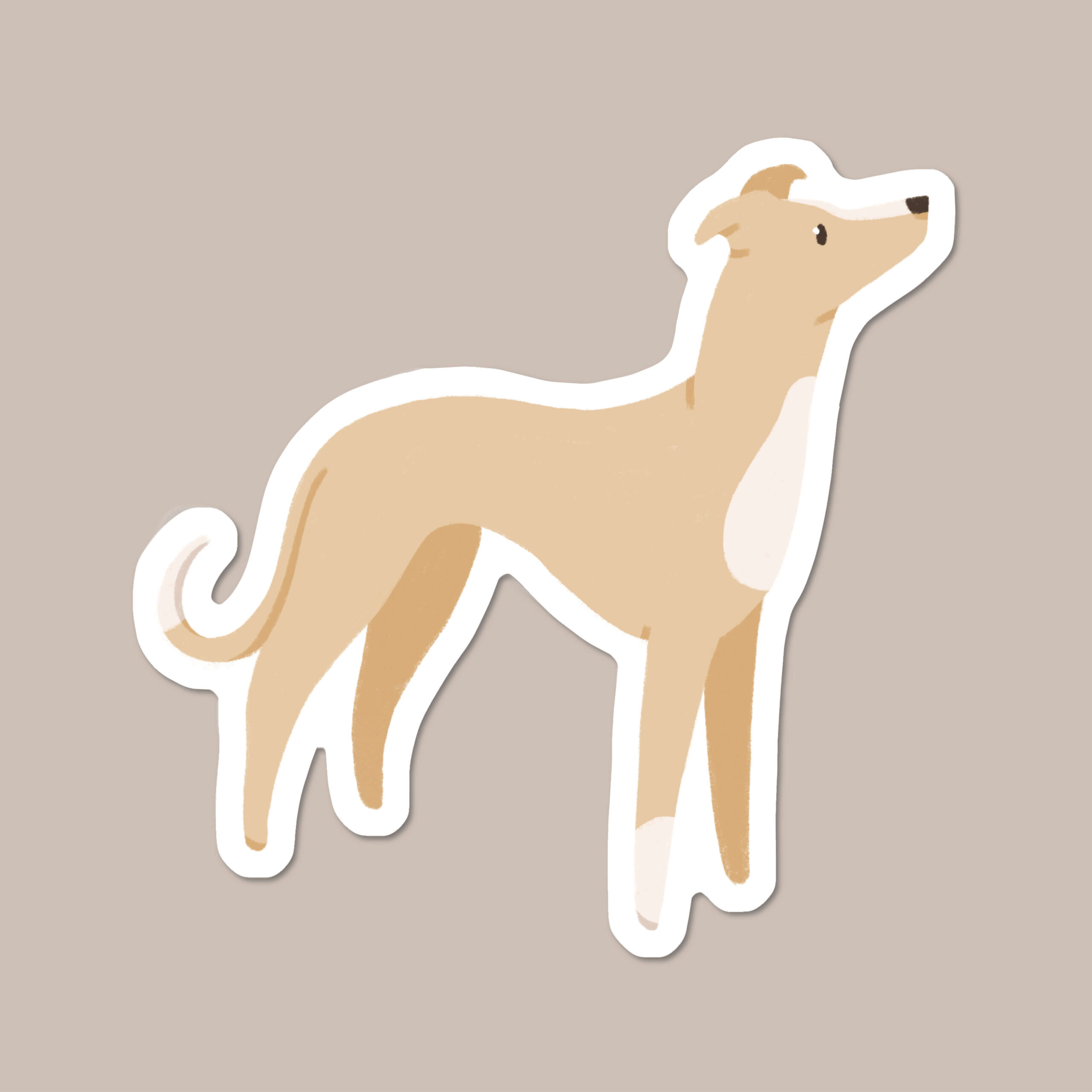 Whippet sticker - Woof by Hollie